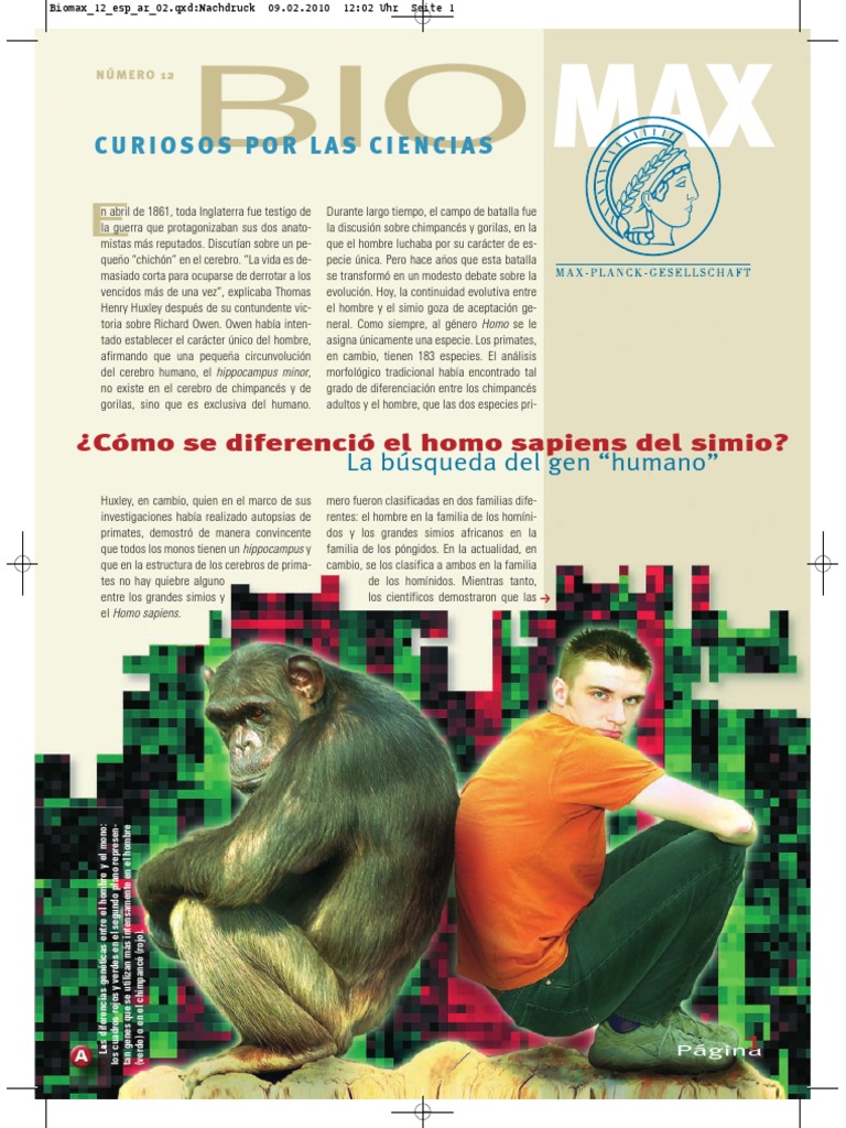 Evolución y Cultura en Humanos y Simios | PDF | Adn | Chimpancé