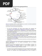 Agente Caotrópico | PDF | Ciencia y matemáticas