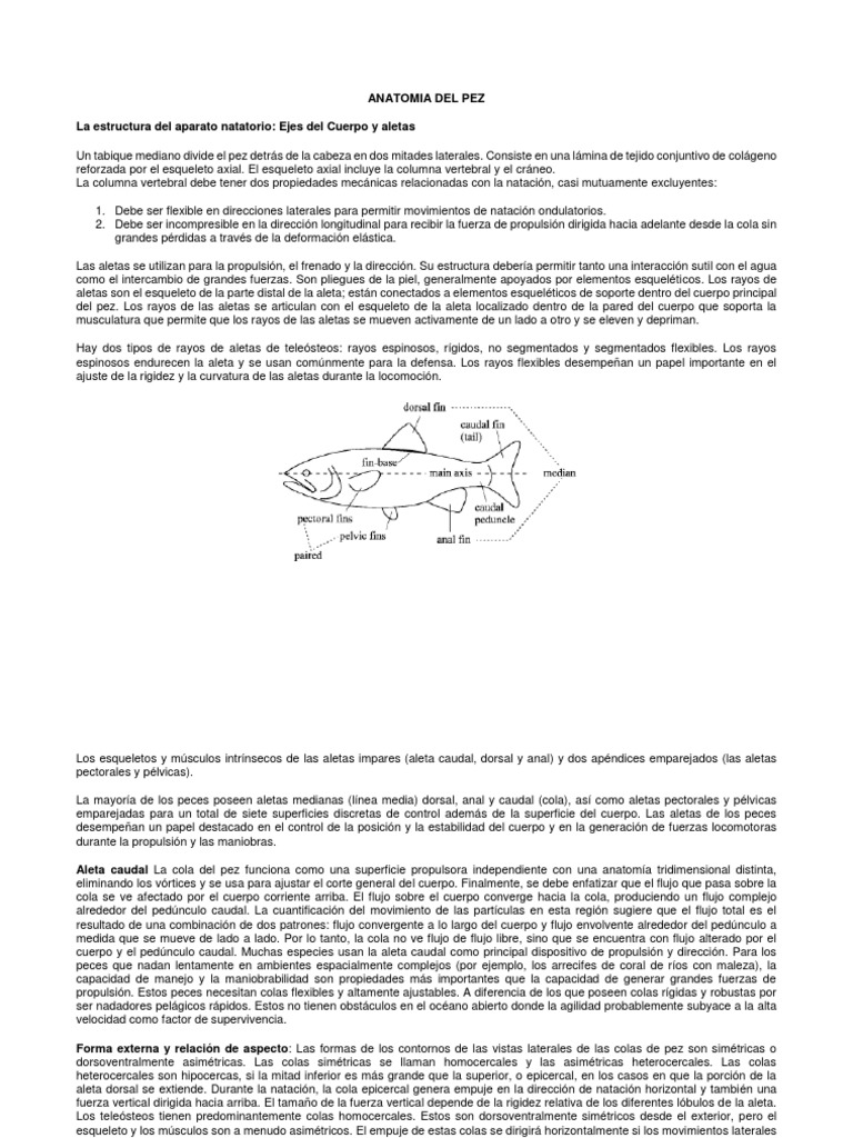 A-Estructura y función de las aletas en los peces | PDF | Fricción ...