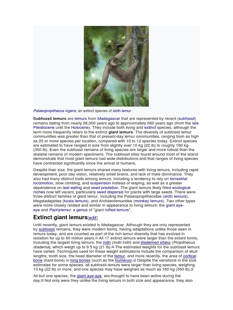 Palaeopropithecus Ingens | PDF | Organisms | Nature