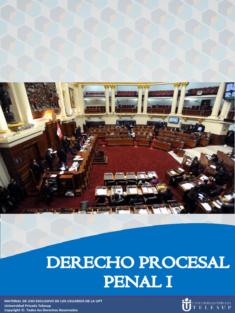 Libro de Derecho Procesal Penal I | PDF | Ley procesal | Procedimiento Criminal