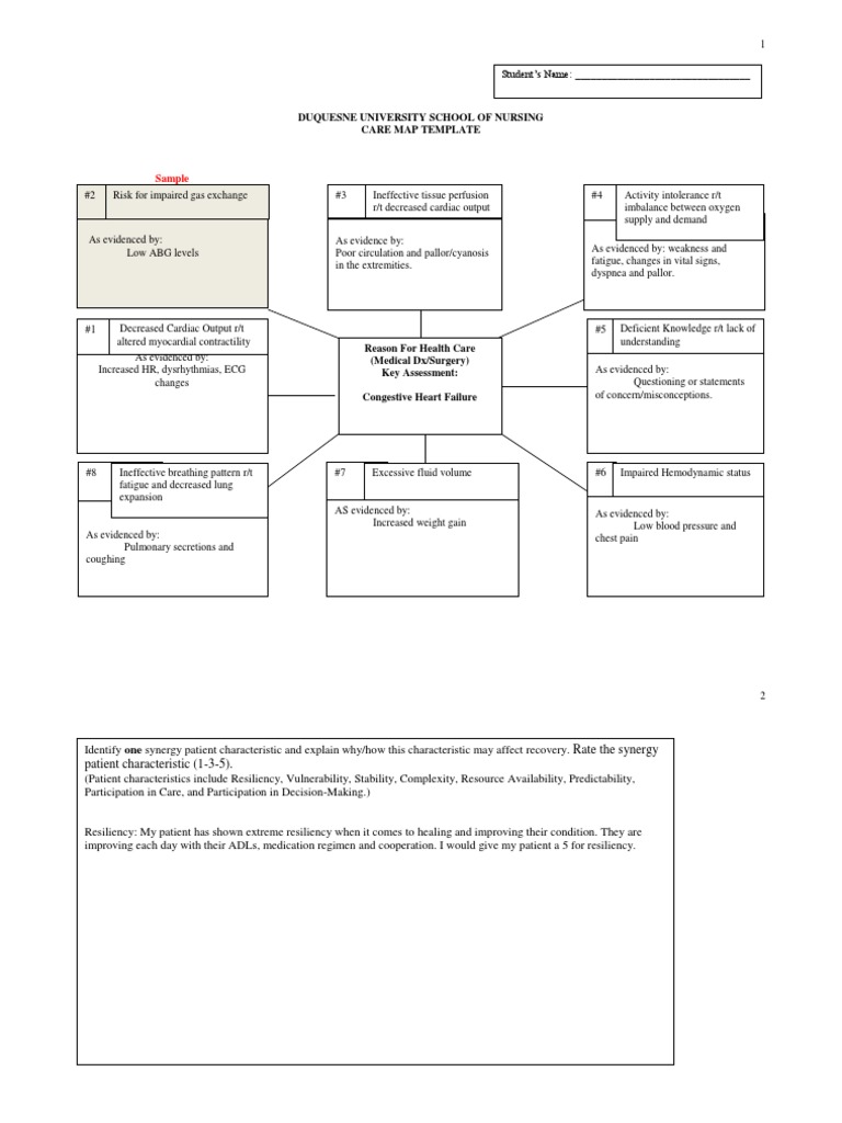 Cardiac Care Map for Congestive Heart Failure Patient | PDF | Heart ...