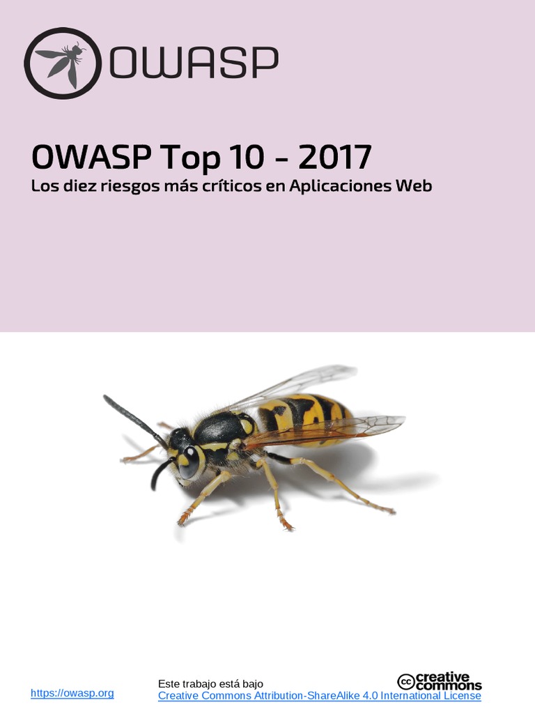 OWASP Top 10 2017 Es | PDF | Contraseña | Script Java