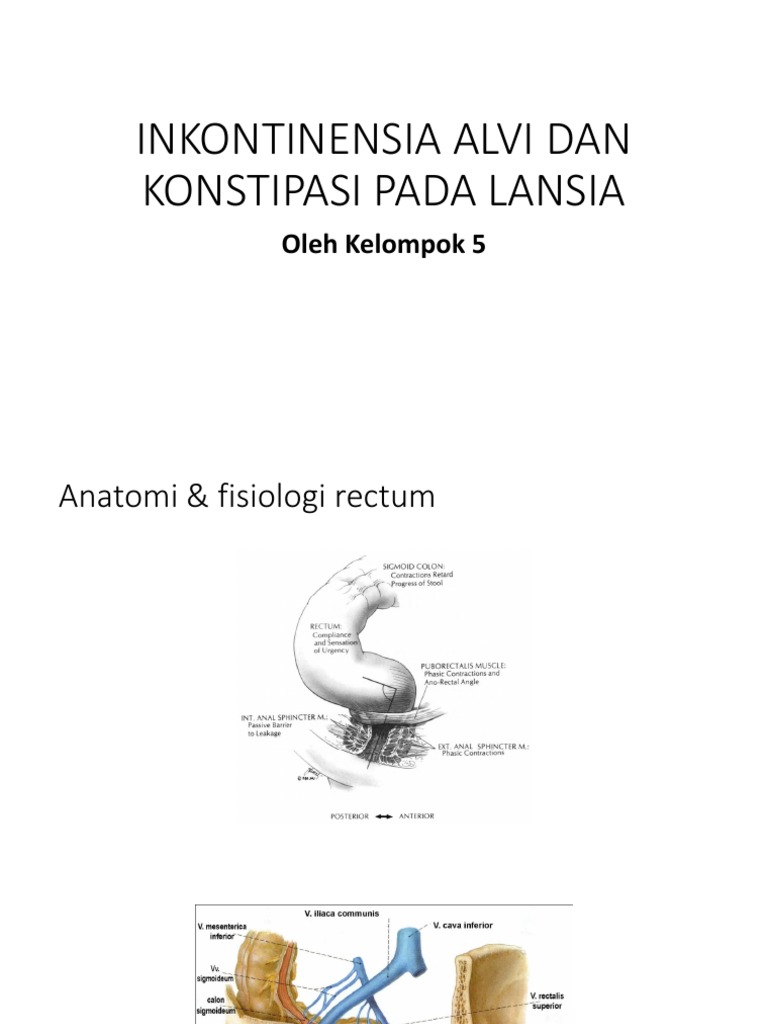 7383 - Inkontinensia Alvi PPT DEDEN | PDF