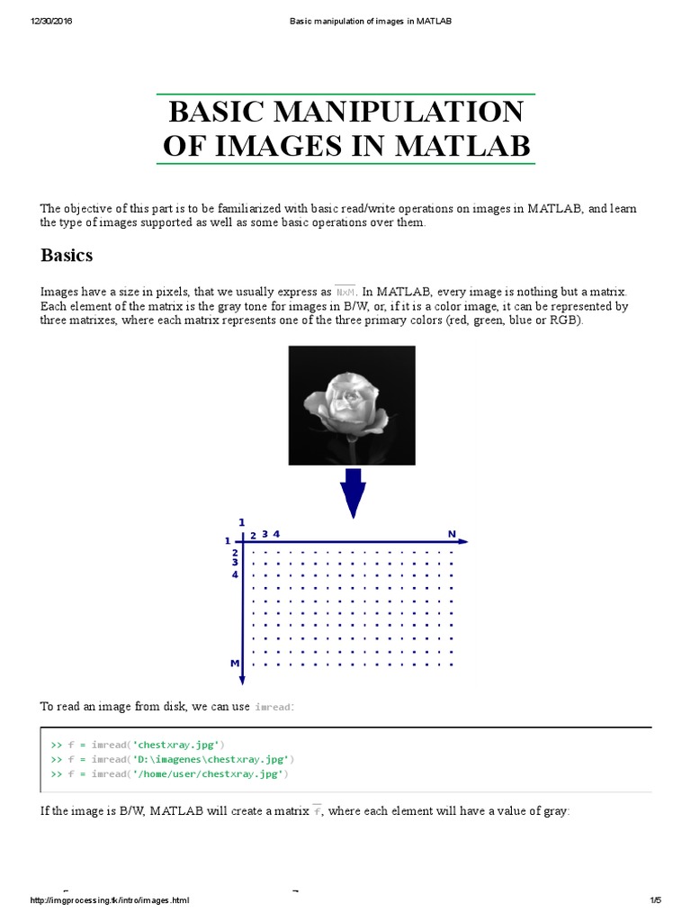 Basic Manipulation of Images in MATLAB | PDF | Integer (Computer Science) | Areas Of Computer ...