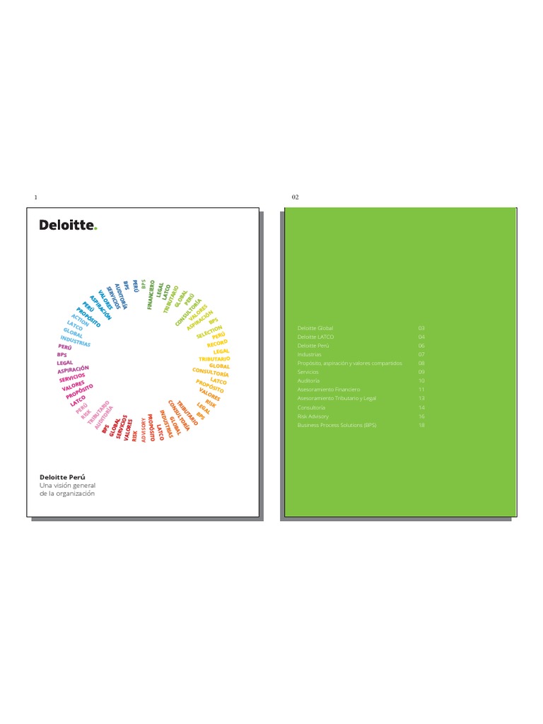 Brochure DELOITTE | PDF | Auditoría | America latina