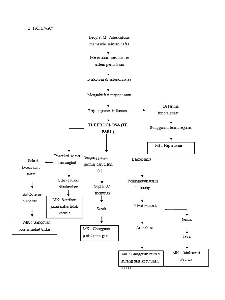 Pathway TB | PDF