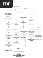 Pathophysiology of Appendicitis | PDF | Inflammation | Medical Specialties
