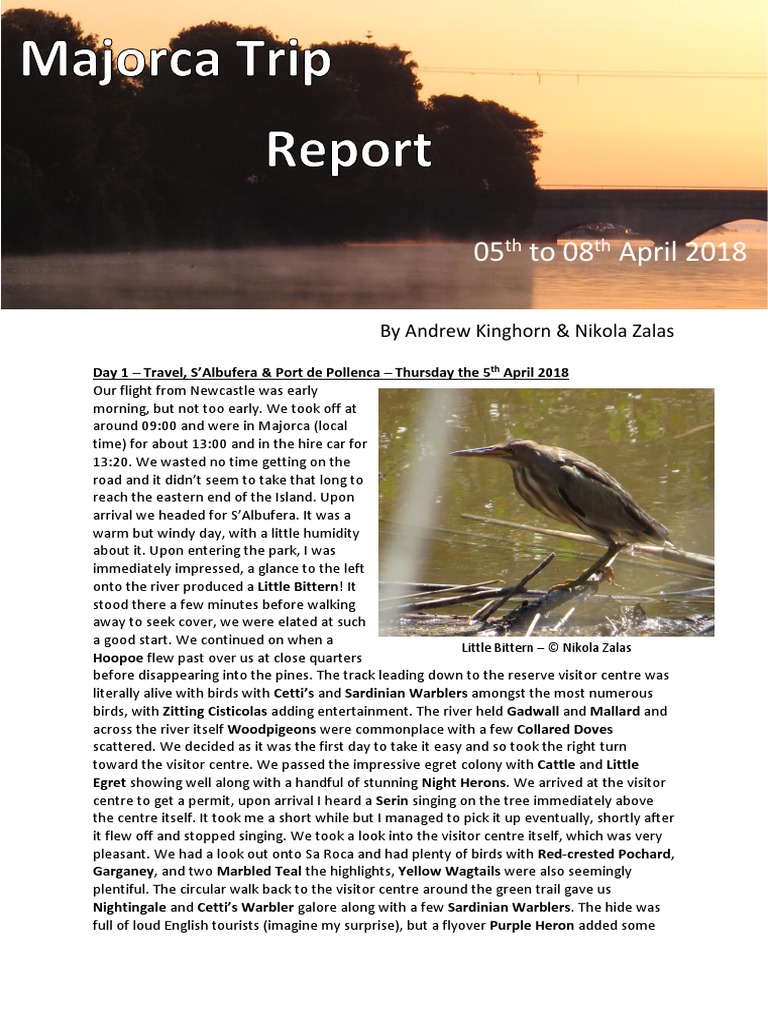 Majorca Trip Report | PDF | Birds Of Eurasia | Eurasia