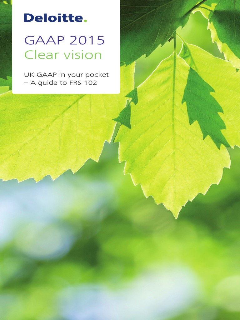 UKGAAP in Your Pocket - A Guide To FRS 102 | PDF | International ...