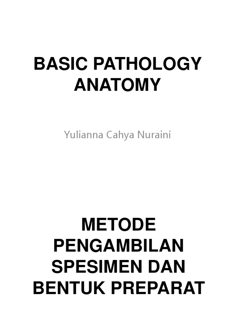 Basic Pathology Anatomy | PDF | Imunohistokimia | Epitelium