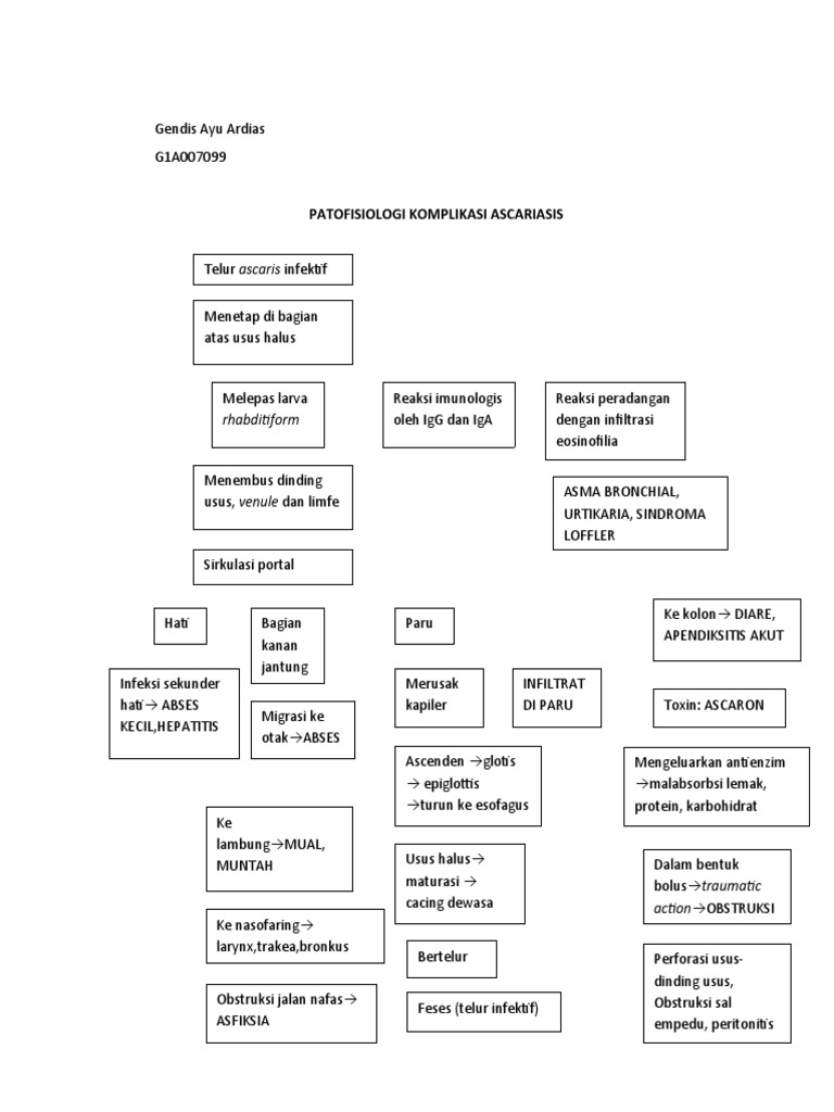 PATOFISIOLOGI KOMPLIKASI ASCARIASIS | PDF