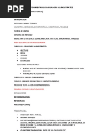 Informe Final Simpro | PDF