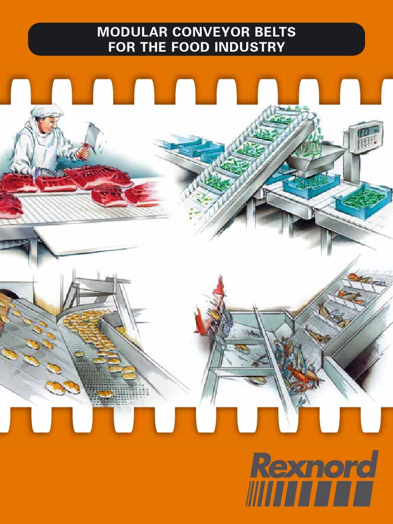 Bandas Transportadoras de Alimentos | PDF | Belt (Mechanical) | Hygiene