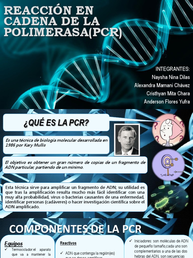 Reacción en Cadena de La Polimerasapcr (1) | Reacción en cadena de la ...