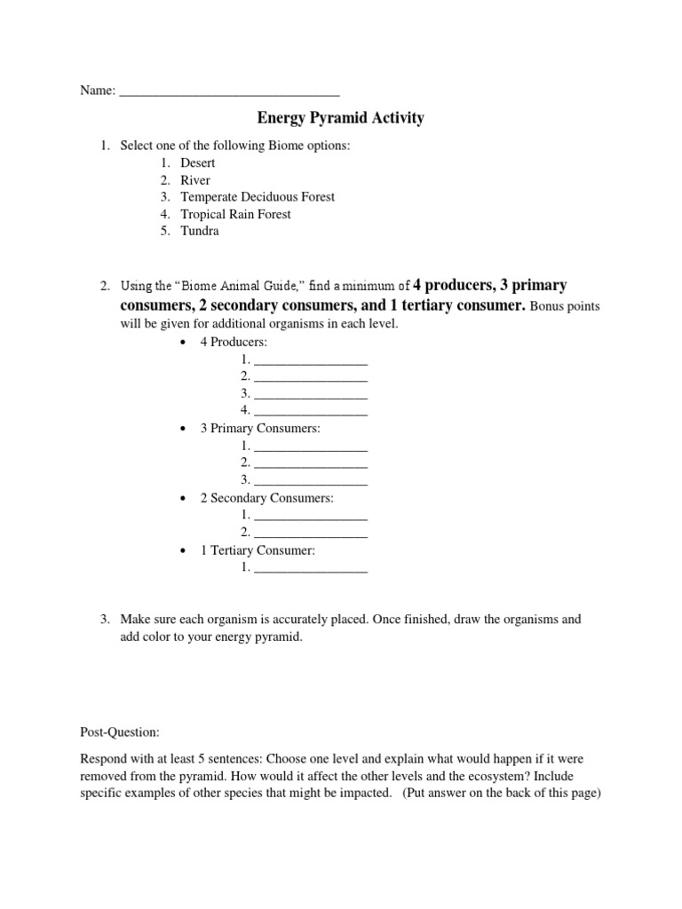 Energy Pyramid Activity | PDF | Forests | Habitat