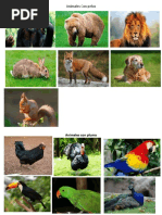 Animales Con Escamas, Plumas y Pelos | PDF