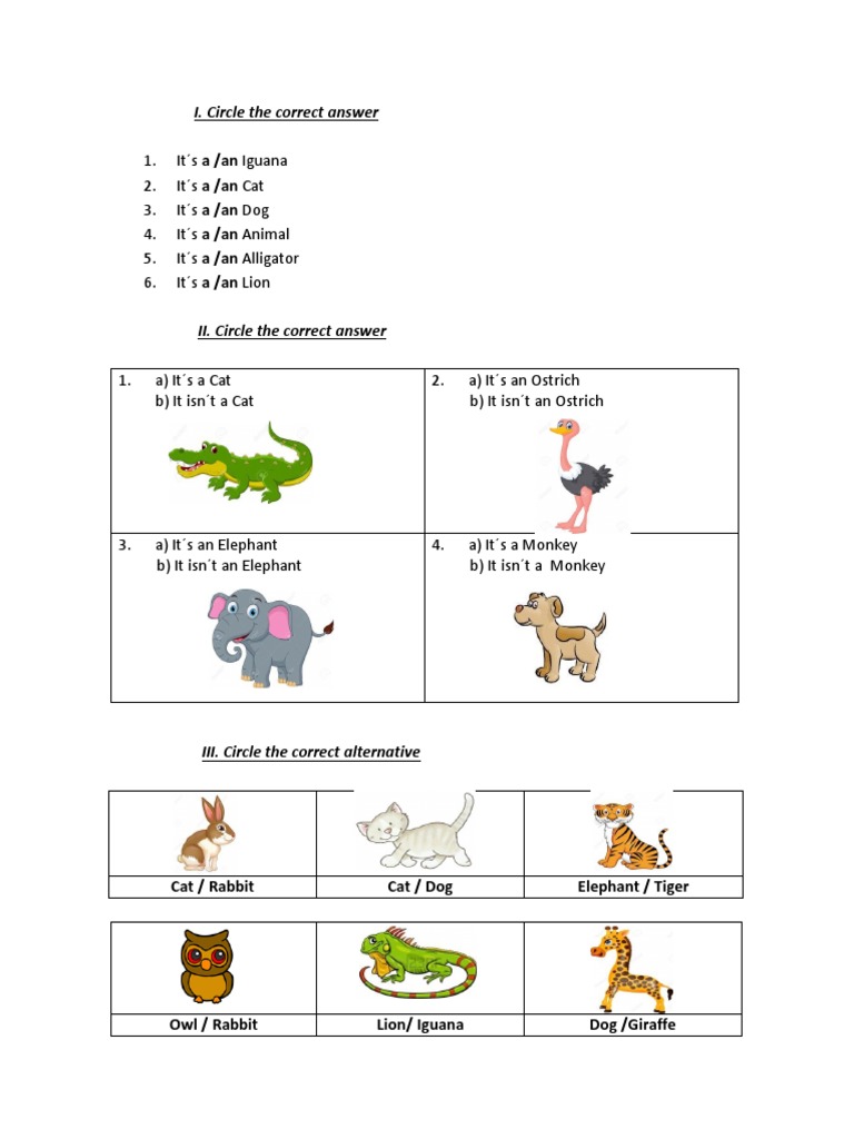 Animal Identification and Coloring Activity | PDF | Home & Garden ...