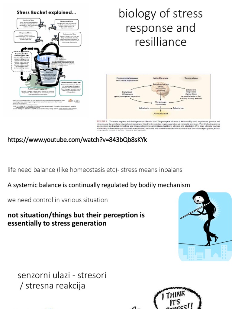 Biology of Stress Response and Resilliance | PDF | Hypothalamic ...