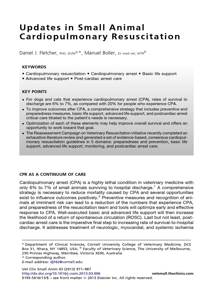 Cardiopulmonary Ressuscitation | PDF | Cardiopulmonary Resuscitation ...