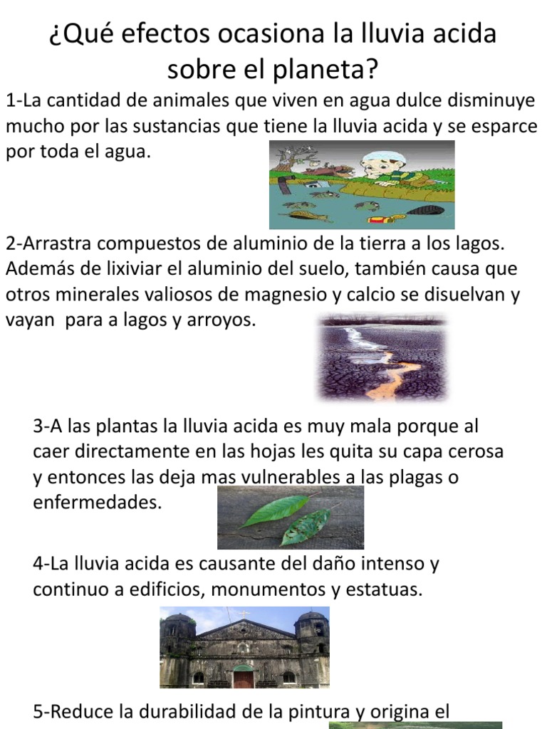 Efectos de La Lluvia Acida | PDF