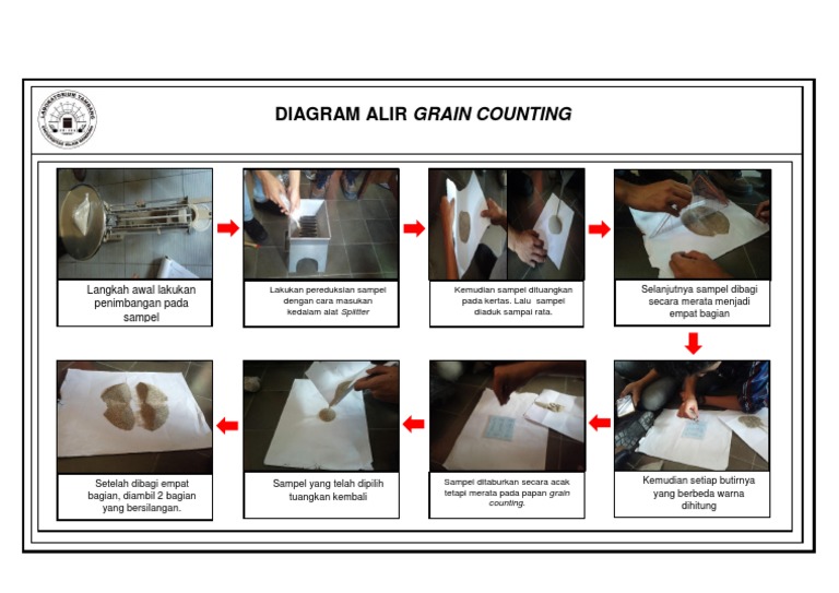 Diagram Alir Grain Counting | PDF