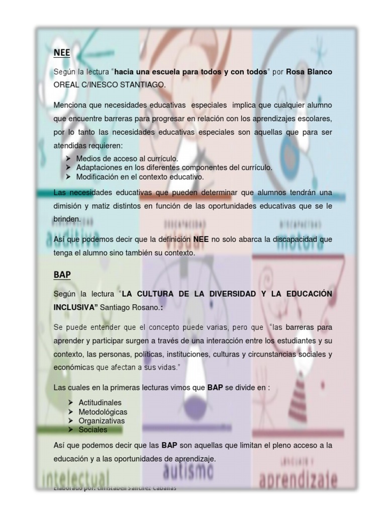 Nee y Bap | PDF | Plan de estudios | Pedagogía