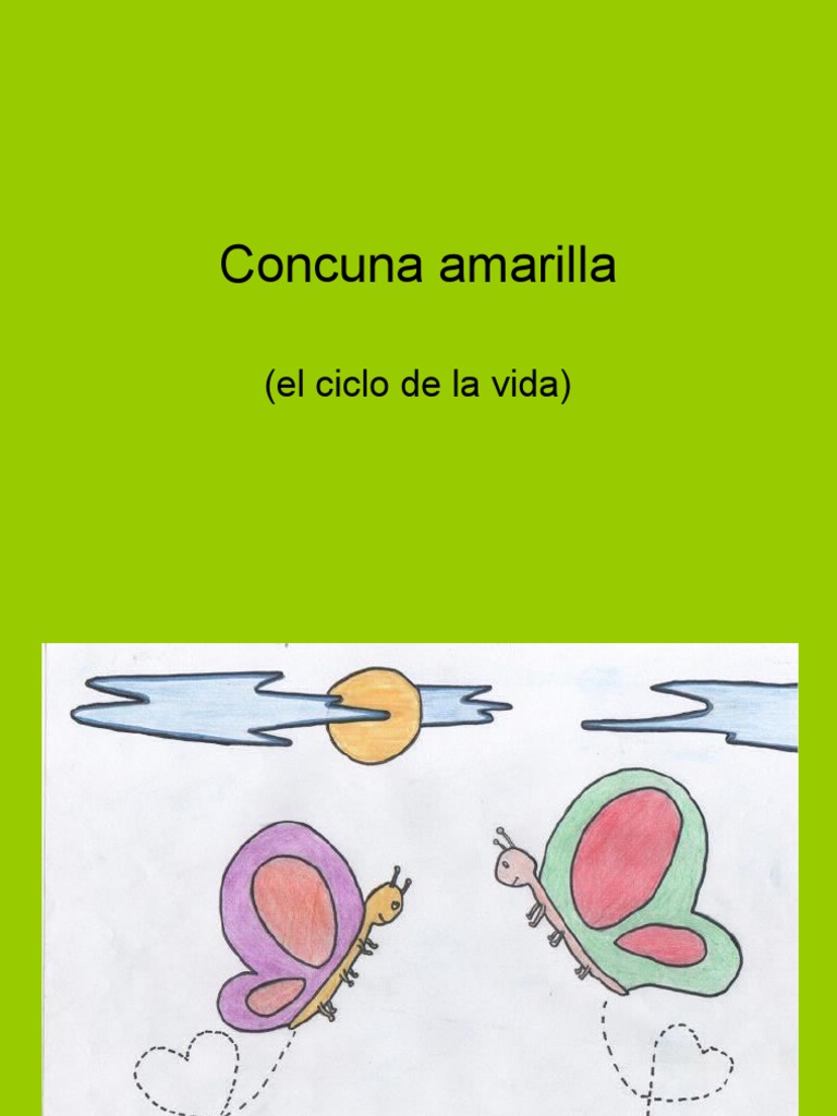 Cuncuna Amarilla | PDF