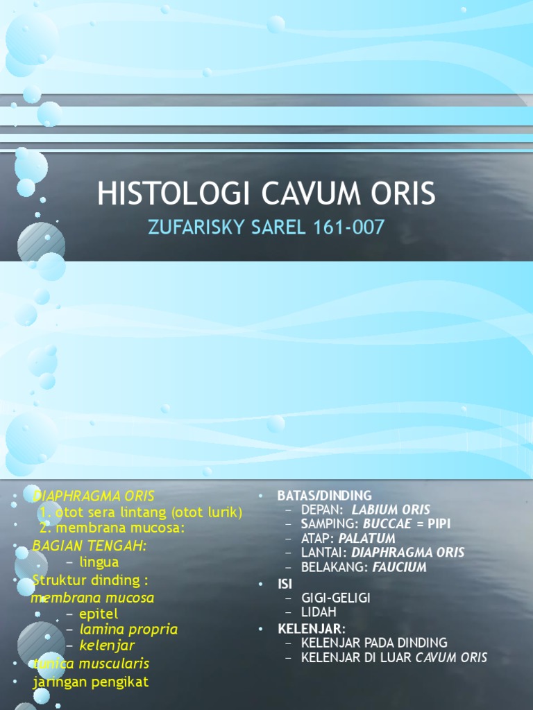 Histologi Cavum Oris | PDF