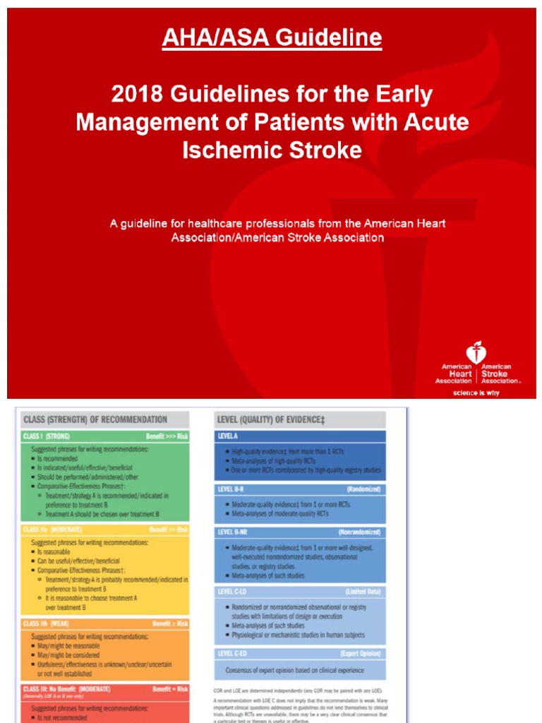 Guideline Acute Ischemic Stroke AHA 2018 (Translated To Bahasa) | PDF
