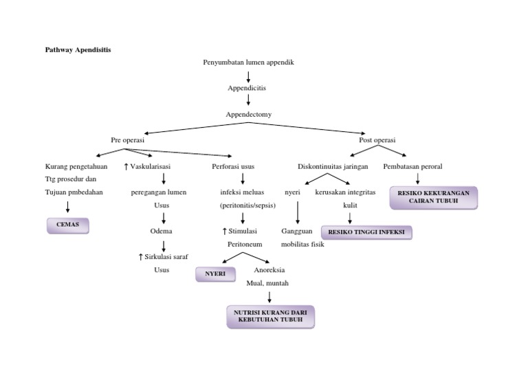 Pathway Apendisitis | PDF