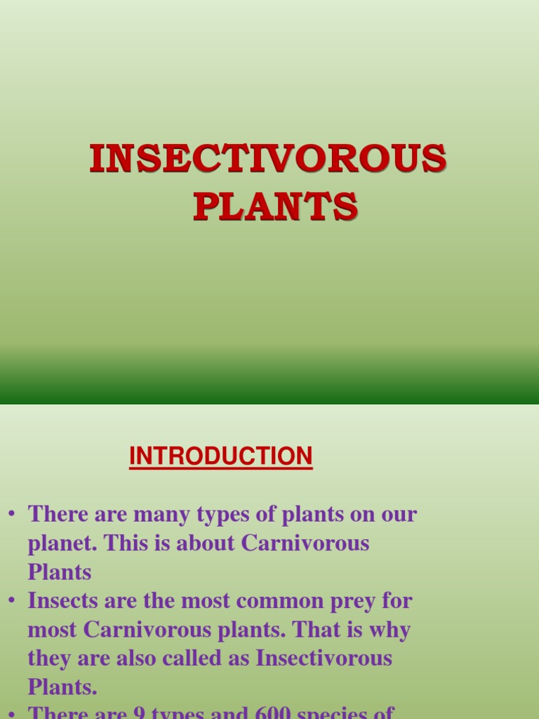 Overview of Insectivorous Plants | PDF | Plants | Organisms