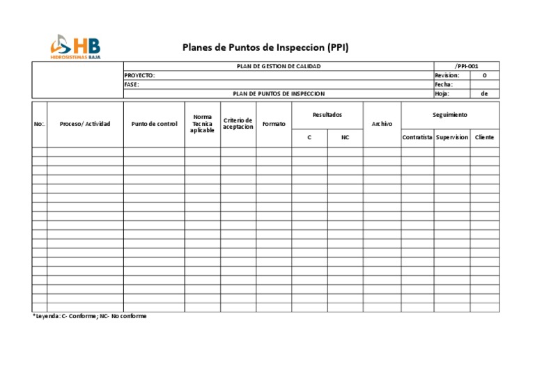 PPI Formato | PDF