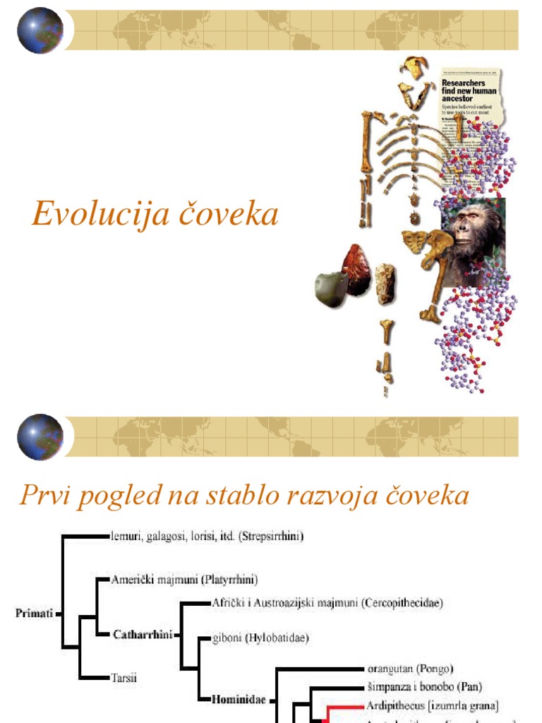 Evolucija | PDF