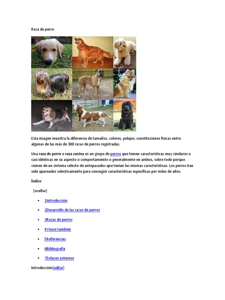 Raza de Perro | PDF | Razas de perros | Perros
