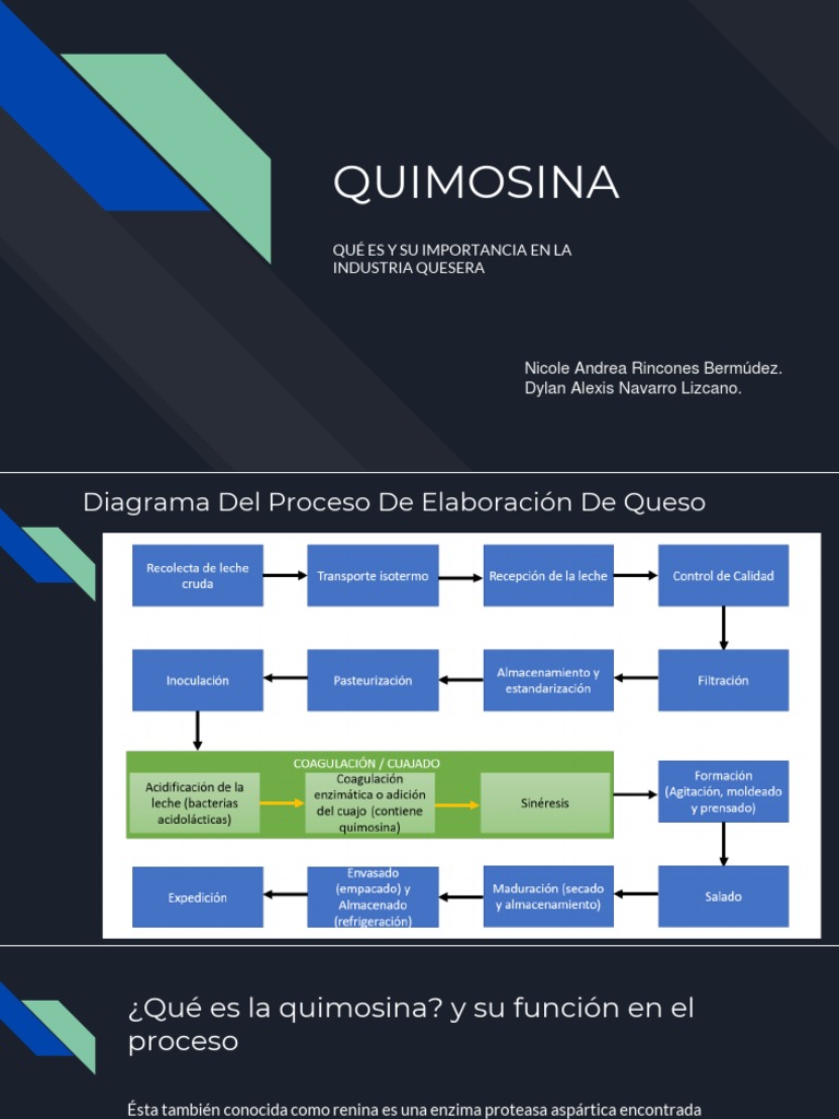 Enzima Quimosina | PDF | Leche | Queso