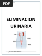 GUÍA de PROCEDIMIENTOS Control de La Diuresis | PDF | Vejiga urinaria ...
