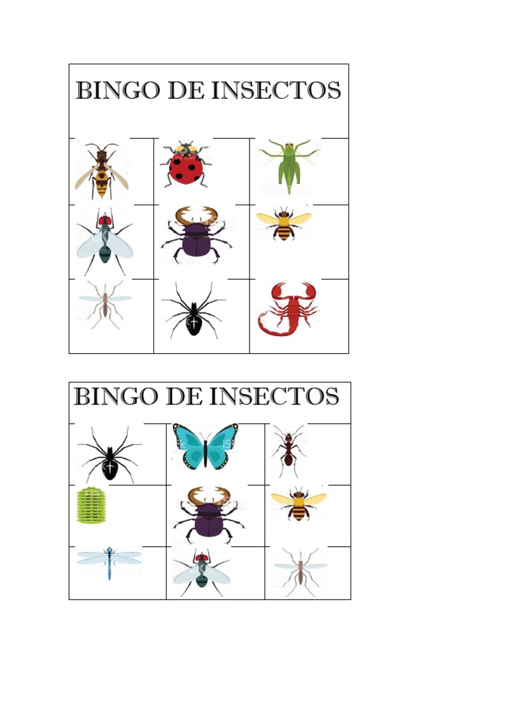 BINGO de INSECTOS Armar y Construir Listo | PDF