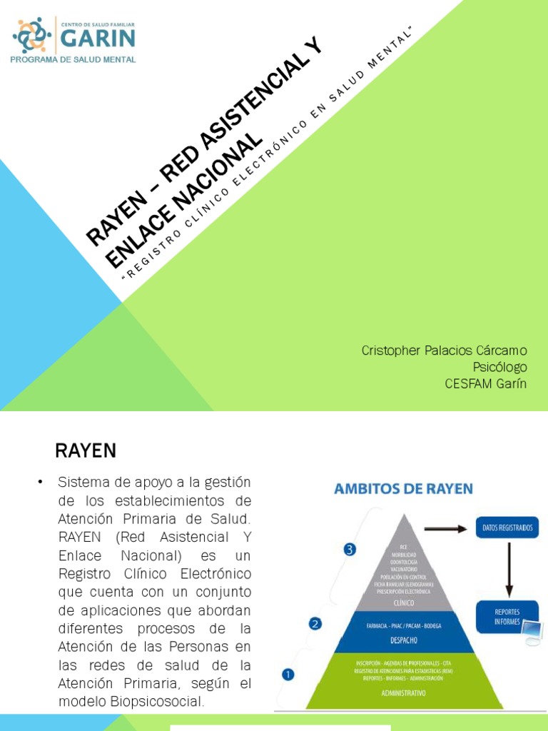 Rayen - Red Asistencial y Enlace Nacional | PDF | Salud mental ...