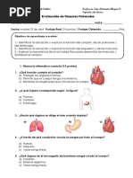 Prueba 2° Básico Mi Cuerpo Ciencias Naturales | PDF | Pulmón | Corazón