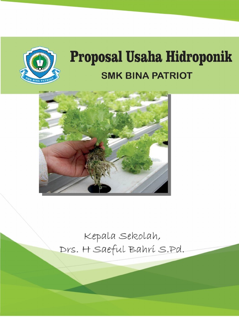 Proposal Usaha Hidroponik | PDF