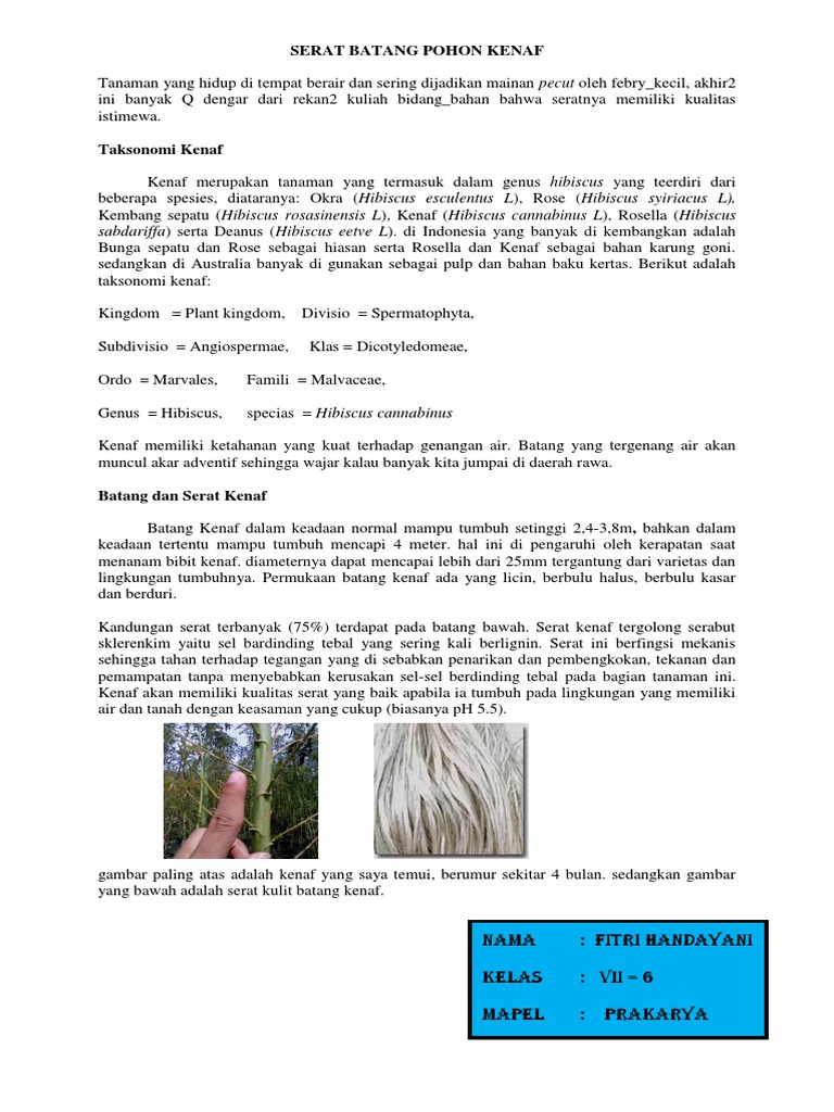 Serat Batang Pohon Kenaf | PDF | Teknologi & Rekayasa