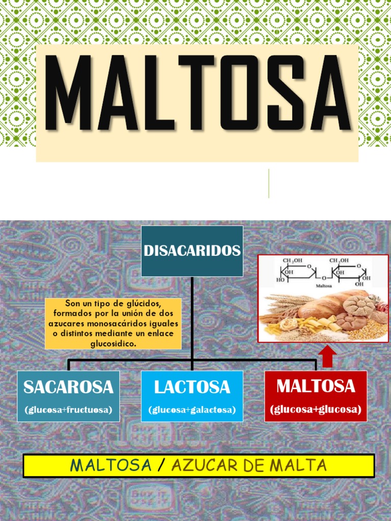 Diapositivas de Maltosa | PDF