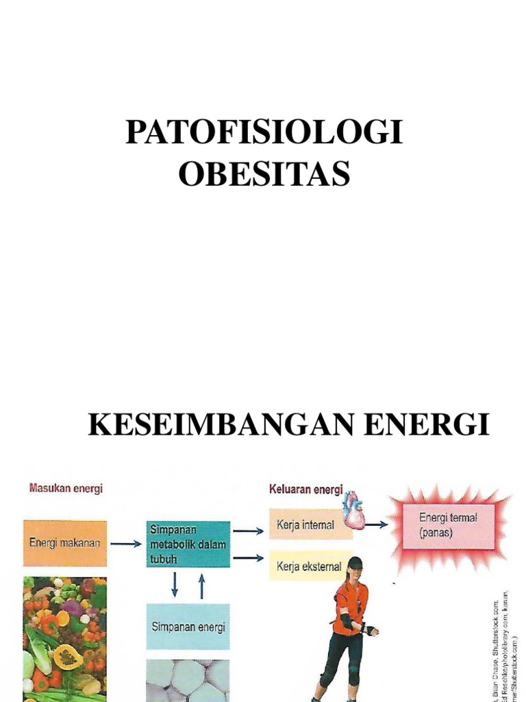 Patofisiologi Obesitas | PDF