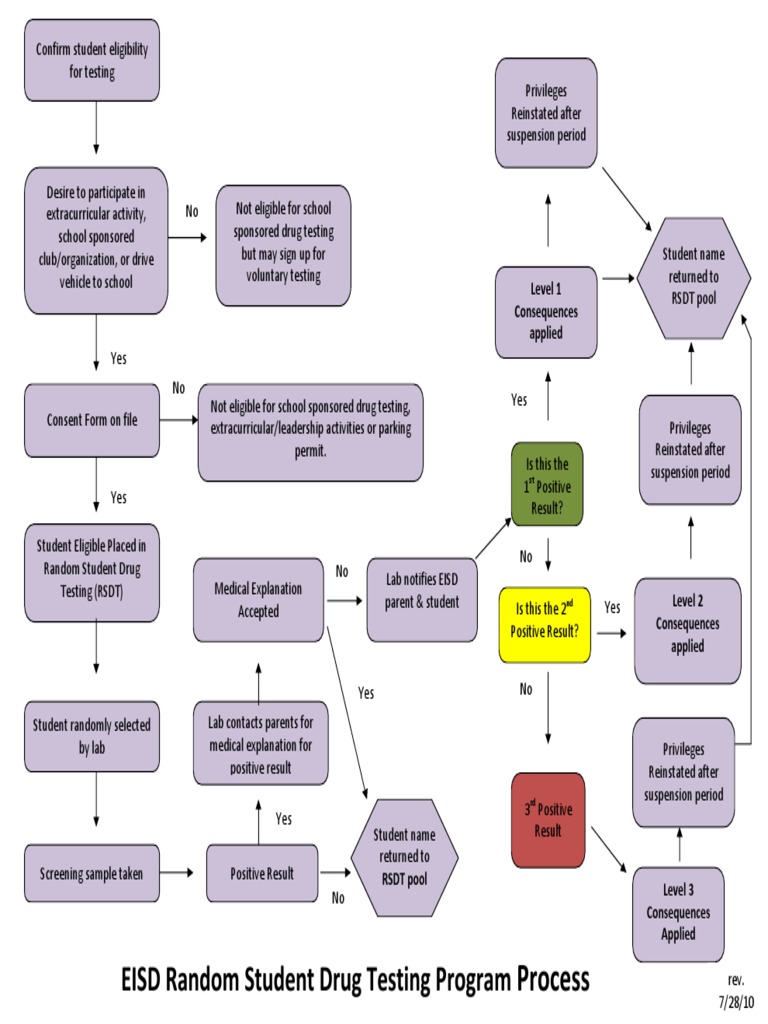 Flowchart Program Process | PDF | Drug Test
