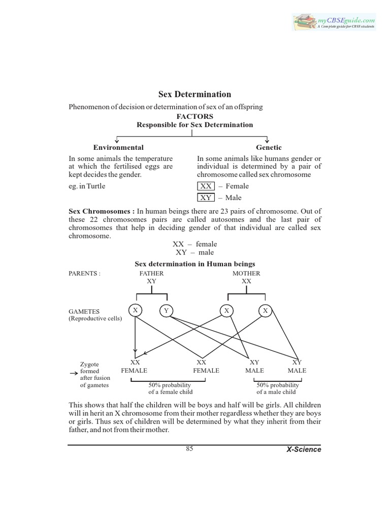 10 Science Notes 09 Heredity and Evolution 1 Split 9 | PDF