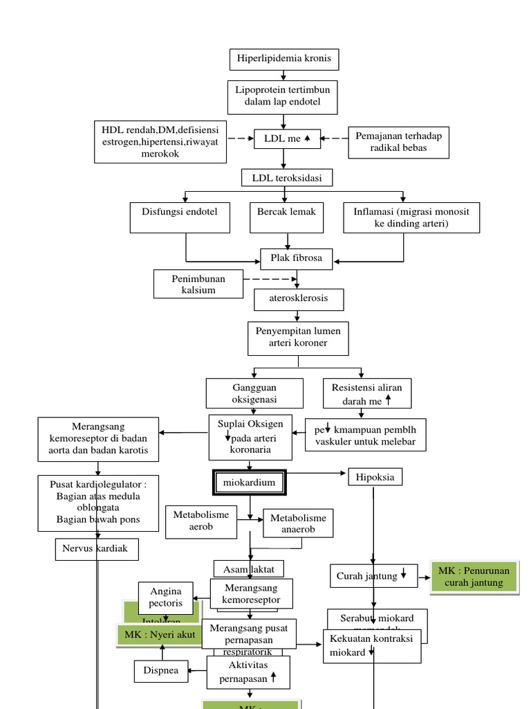 Woc PJK (Citra) | PDF