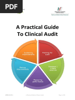 HSE Clinical Audit Guide 2023 | PDF | Sampling (Statistics) | Audit