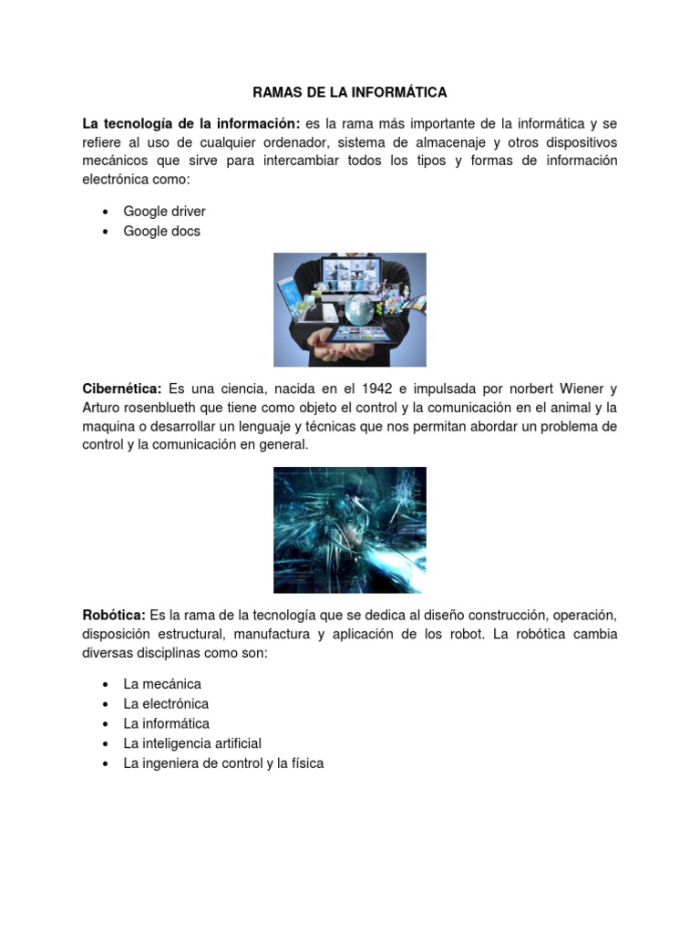 Ramas de La Informática | PDF