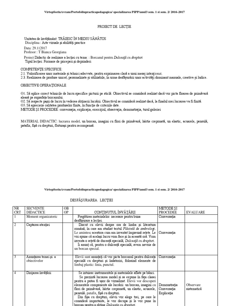 Proiect Didactic Avap | PDF